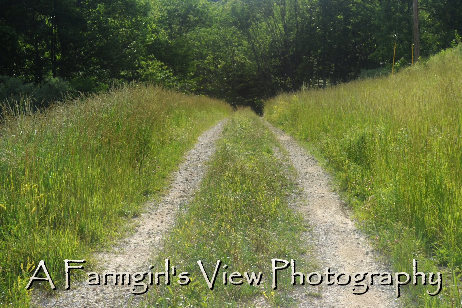 A Farmgirl's View: Walk with Me Thru My Walking Path Photo Album