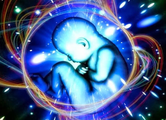 Quantum Spirit: Young Children Remember Life Before Conception