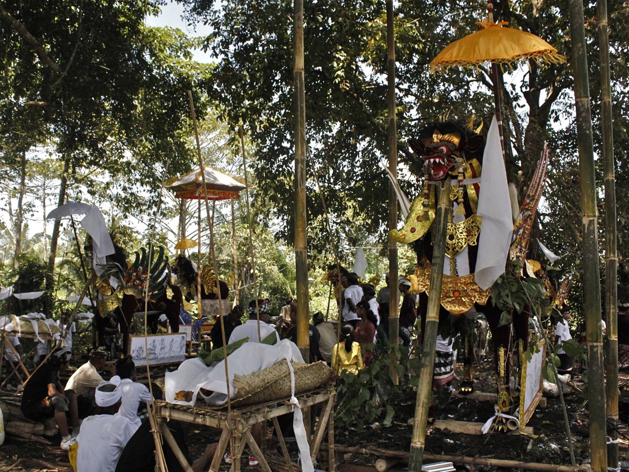 Bali Odyssey: Bali Cremation Ceremony