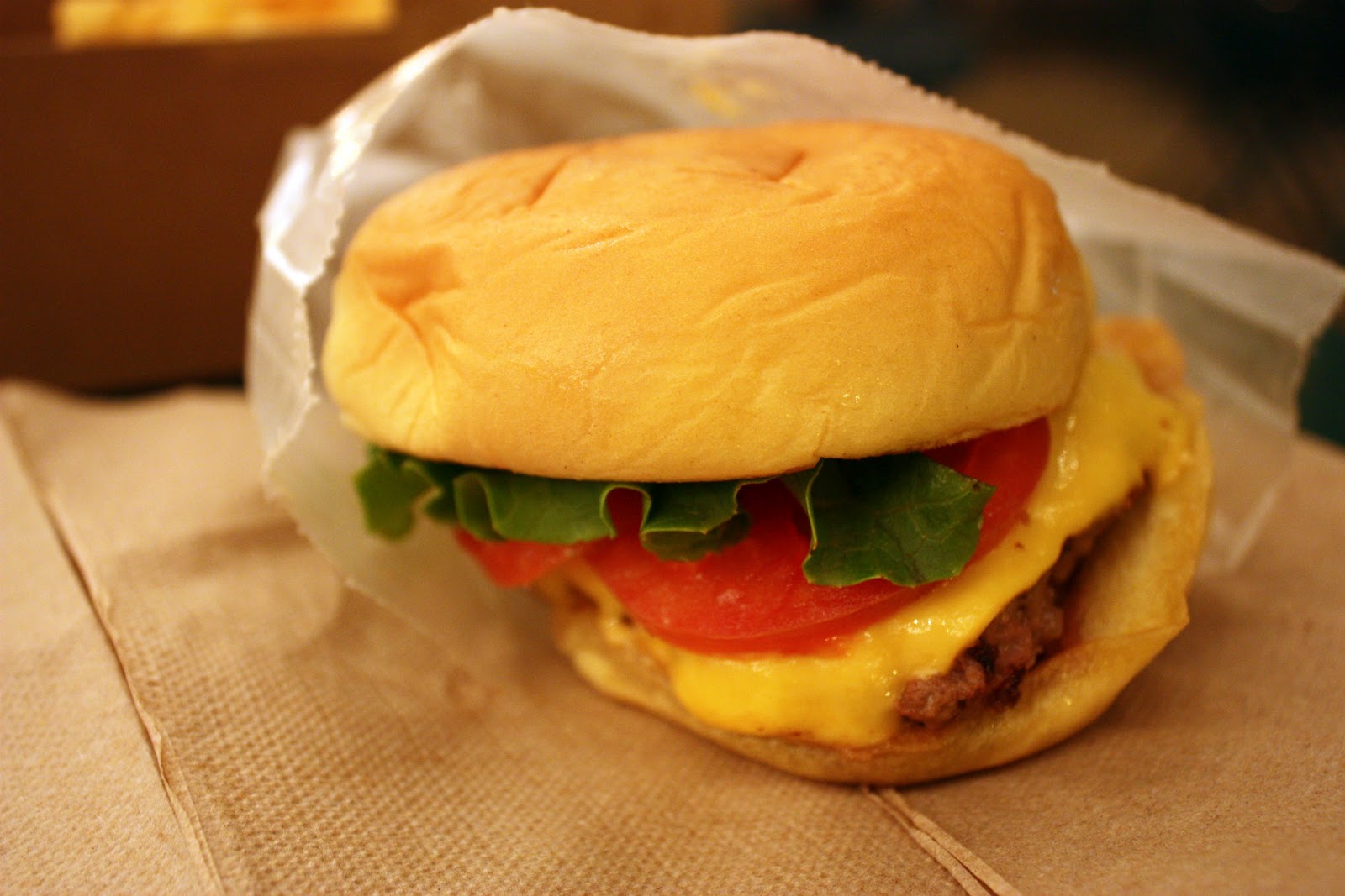 Foodish Fetish: Shake Shack: Our first meal in the concrete jungle
