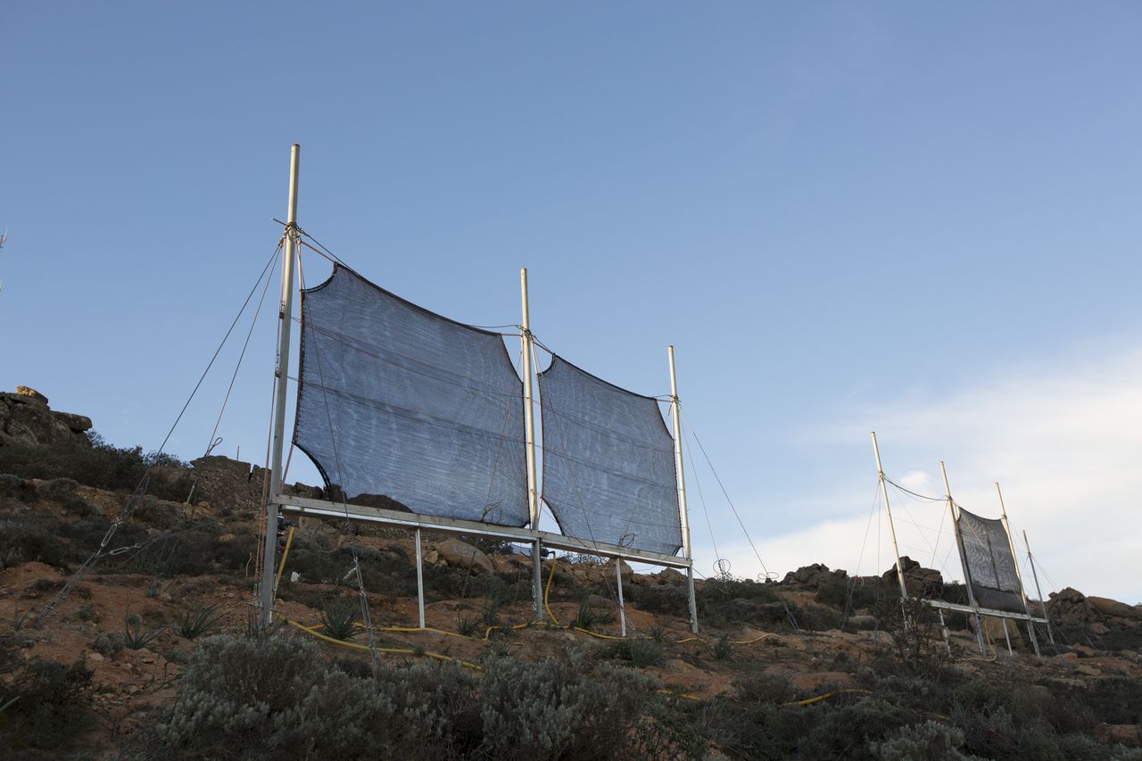 Dar Si Hmad for Development, Education and Culture: Fog-Harvesting ...