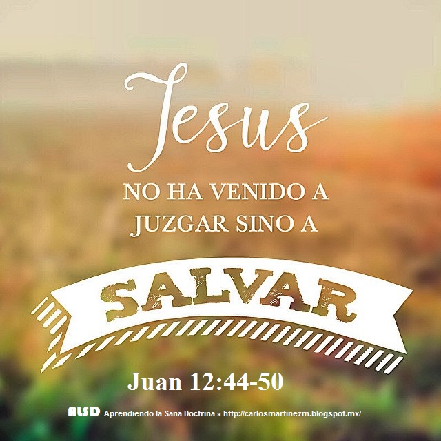 Aprendiendo la Sana Doctrina: Juan 12:44-50