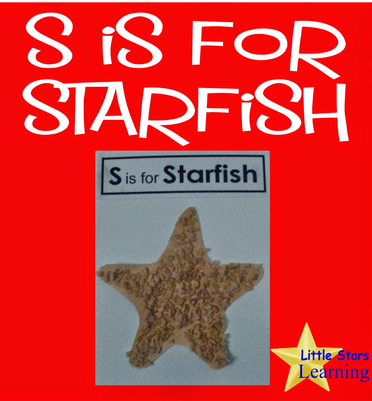 Little Stars Learning: Starfish Texture Craft w/Template