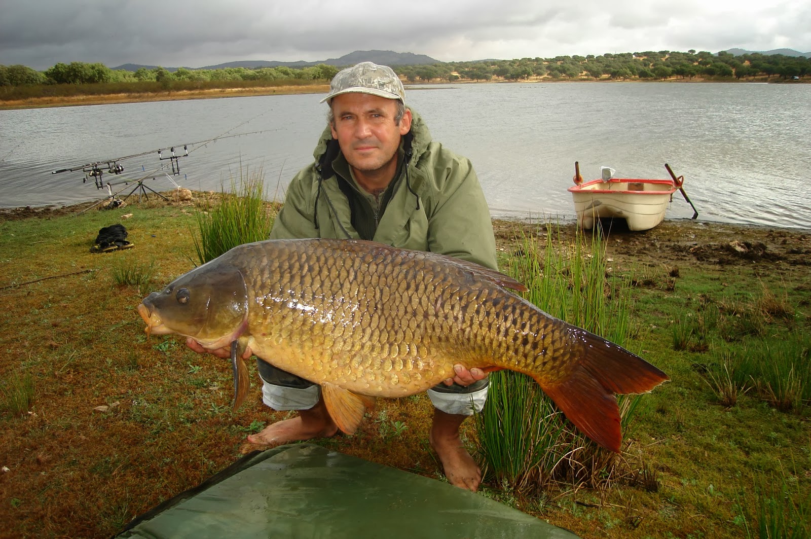 alandroalandia: Pesca Desportiva - A captura e carpas.
