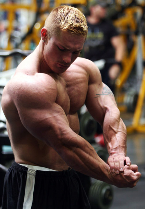 prosbodybuilding: Boost Your Testosterone Levels for Building Big Muscles