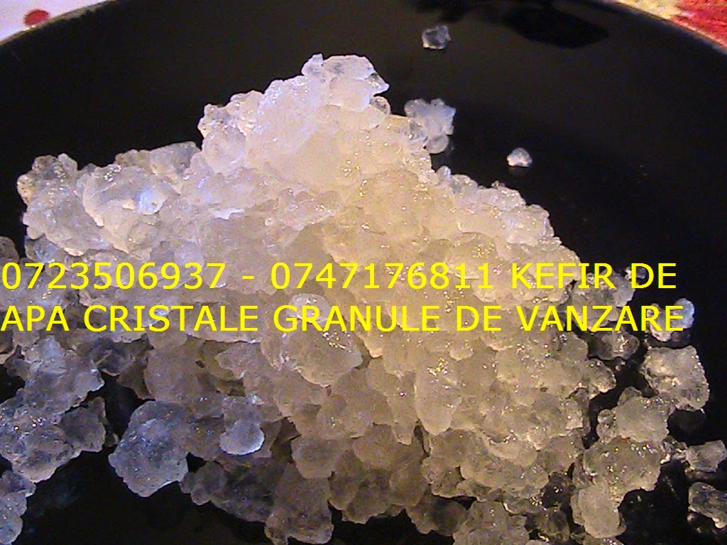 CIUPERCA TIBETANA SI EFECTE EI MIRACULOASE ACUM IN ROMANIA: KEFIR DE ...