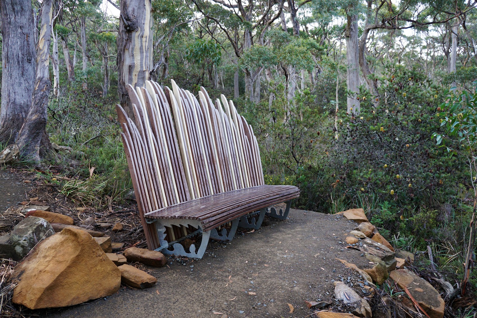 Cape Raoul Track (Tasman National Park) ~ The Long Way's Better