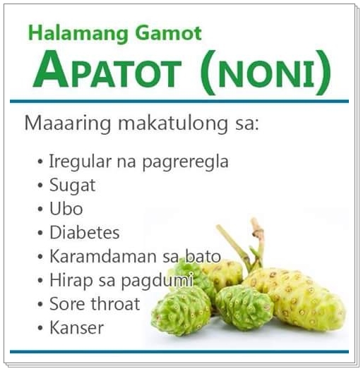 Halamang Gamot: Halamang Gamot: Apatot (Noni)