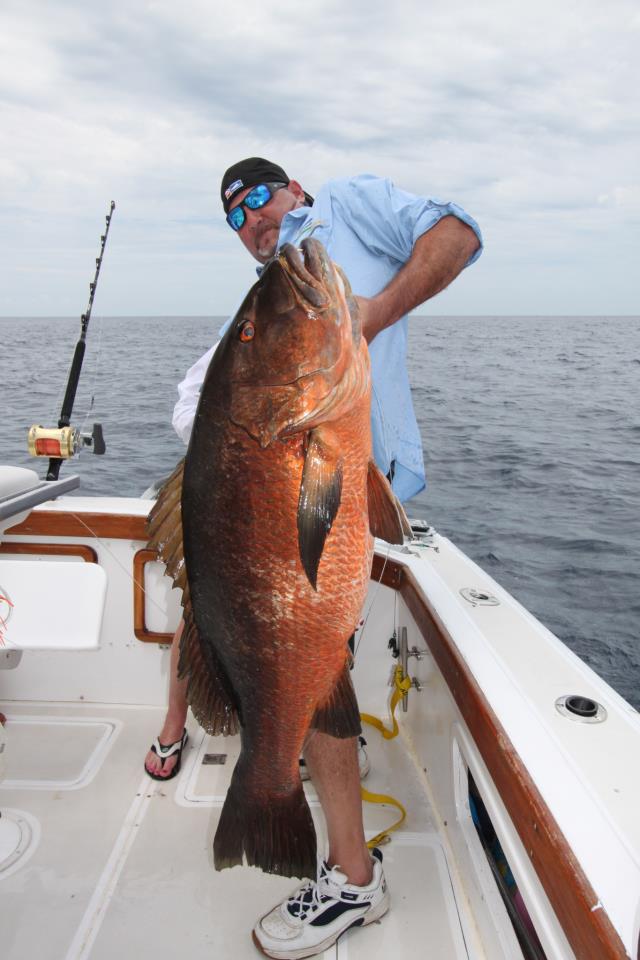 Cubera Snapper