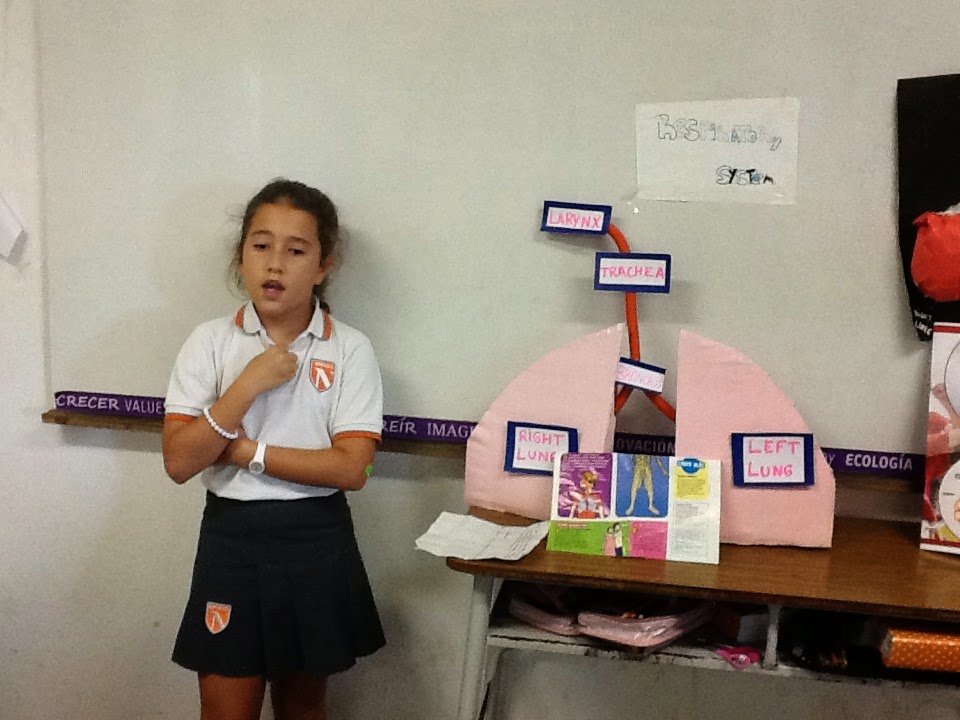 Conectados En Quinto Science Projects Body Systems 