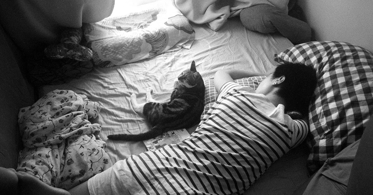 siuding 小丁: 周末最好和貓懶在一起