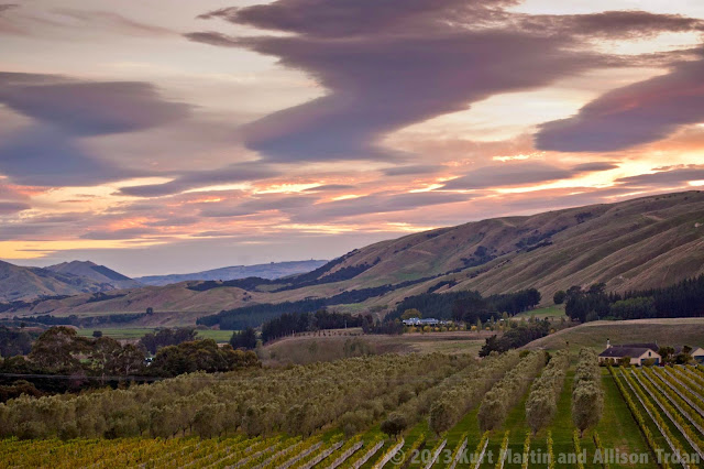 Tree Travels: Martinborough, New Zealand