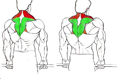 Guía para hacer tu rutina básica de hombros - MIGUELWORKFIT
