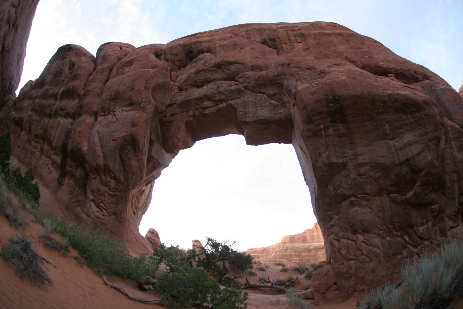 Pictures of my Universe: Tunnel Arch and Pine Tree Arch
