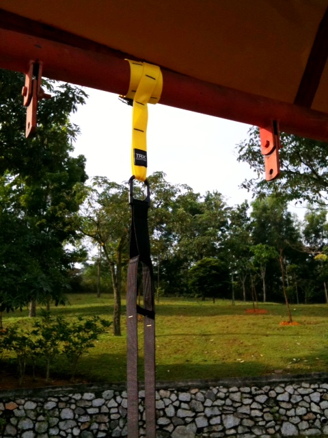 Outdoor TRX Workout ~ As Life Goes On...