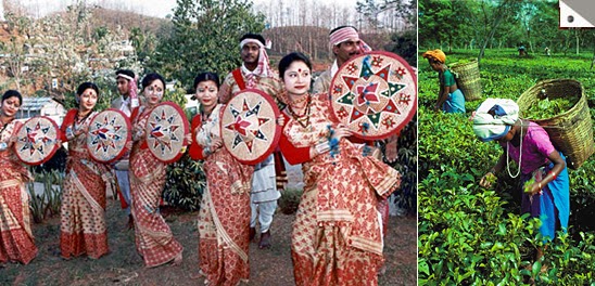 Visiting places of India: Assam tourist places