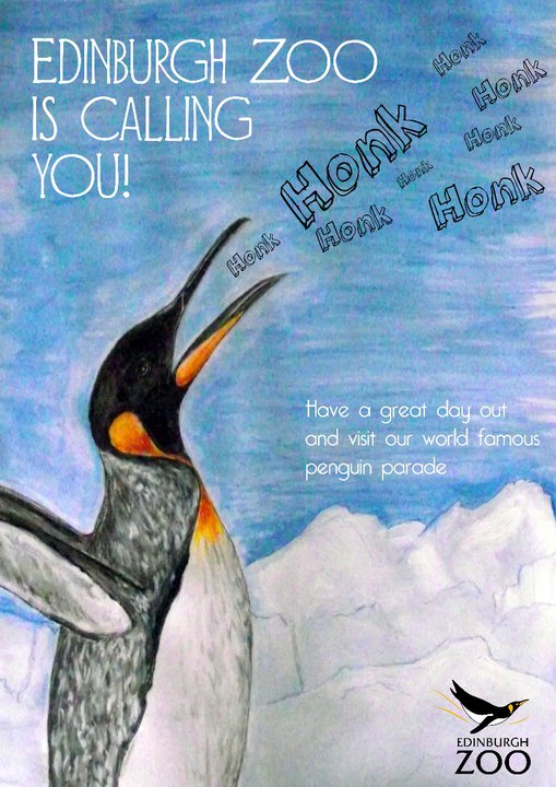 Emma Meehan Illustration: Zoo posters