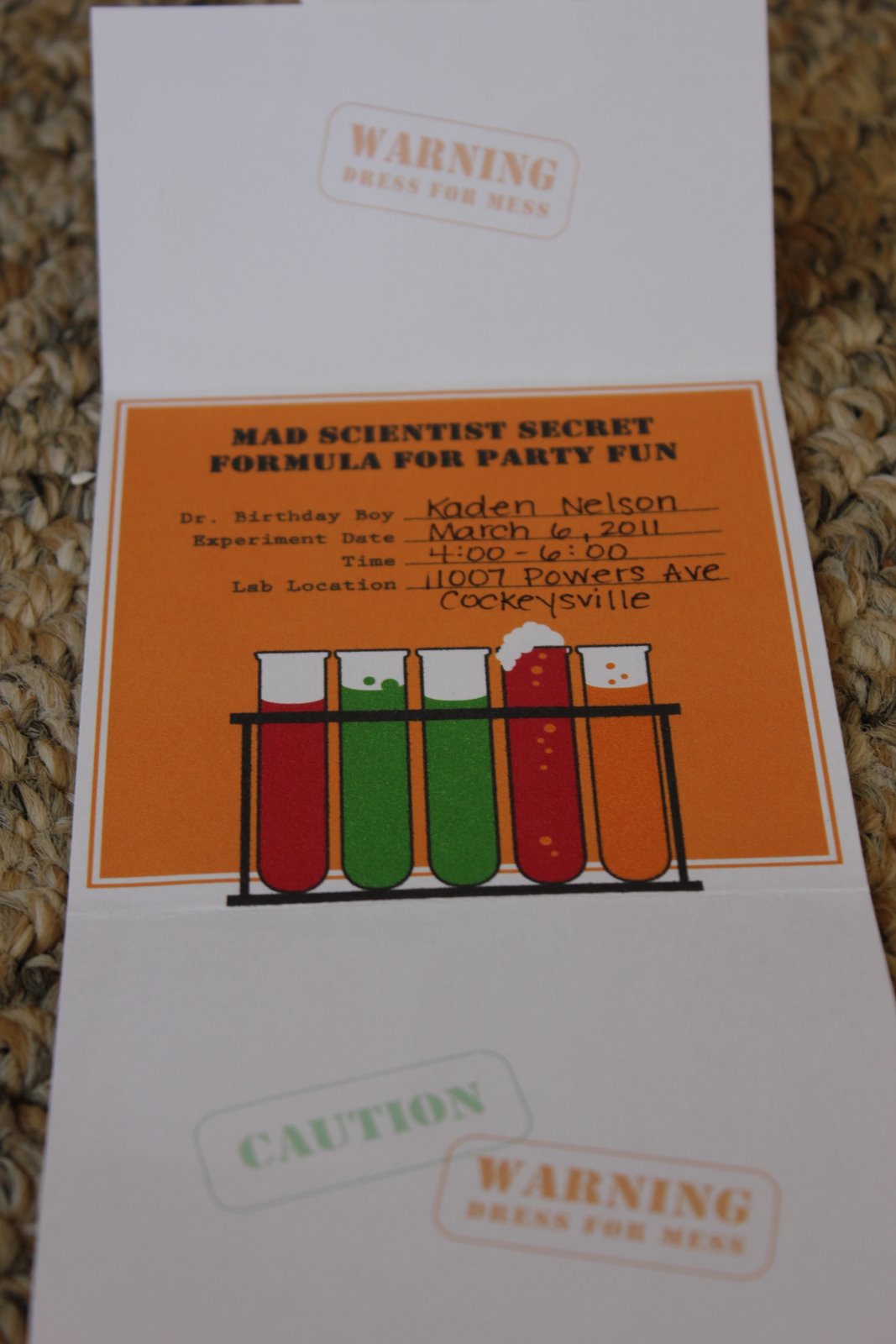 THE MUDDY PRINCESS: Science Birthday Party