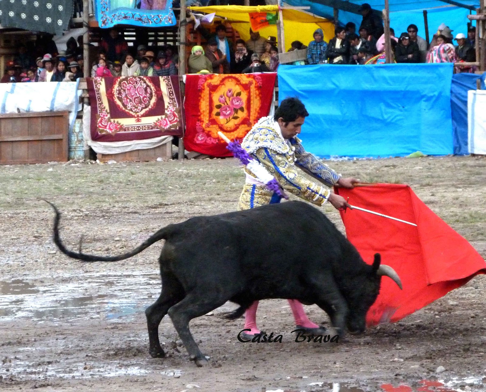 Olé Taurinos: El Fabi arrasa en San Antón.