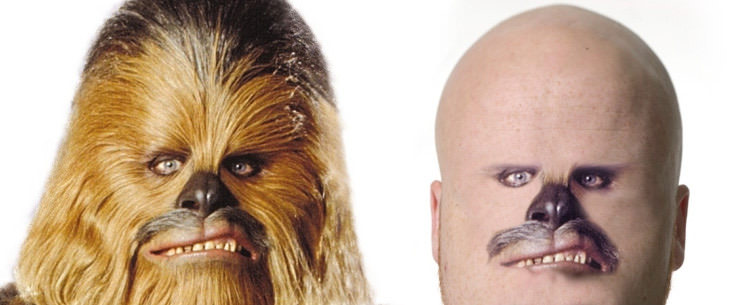 Assim é o Chewbacca depilado!