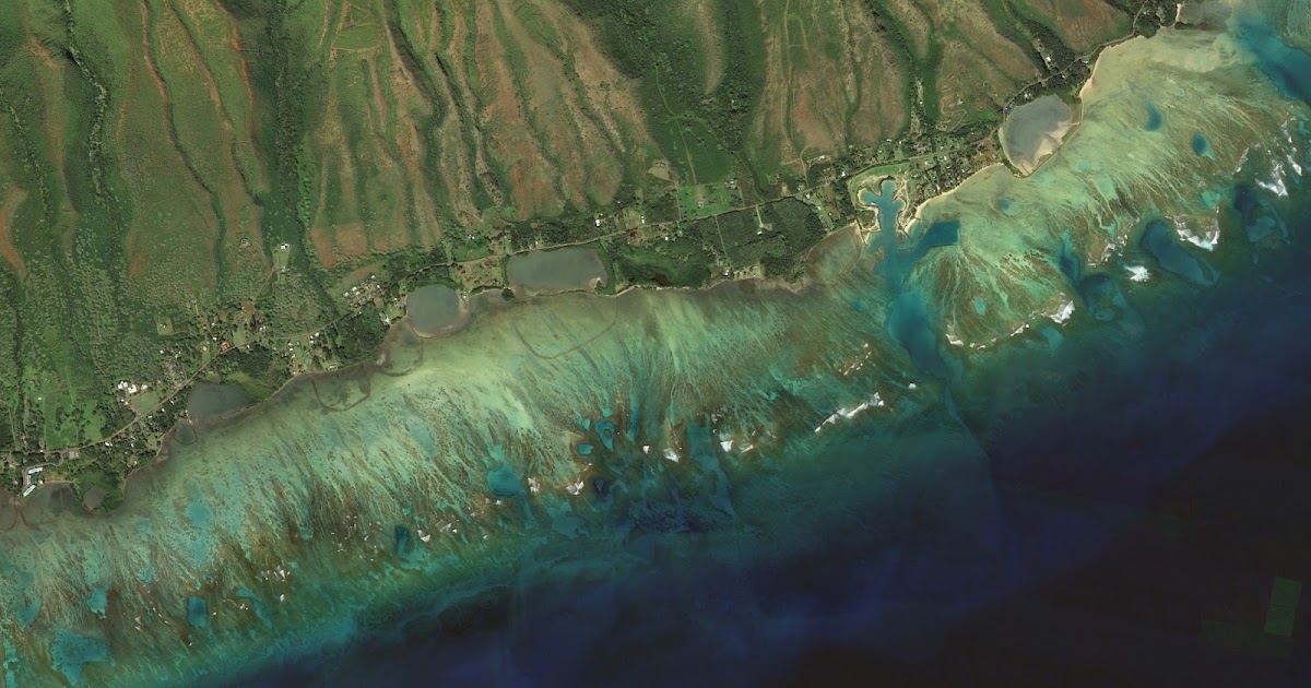 The interconnected ecosystem, ridge to reef