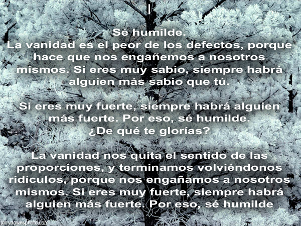 UN POCO DE MI PARA USTEDES ....: SE HUMILDE SIEMPRE