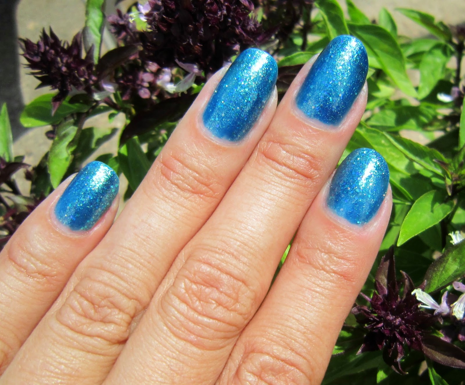 Zoya Muse