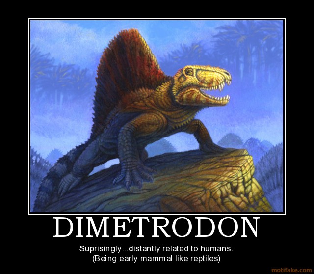 Extinct Animal of the Week: Announcement for May and the first of the ...