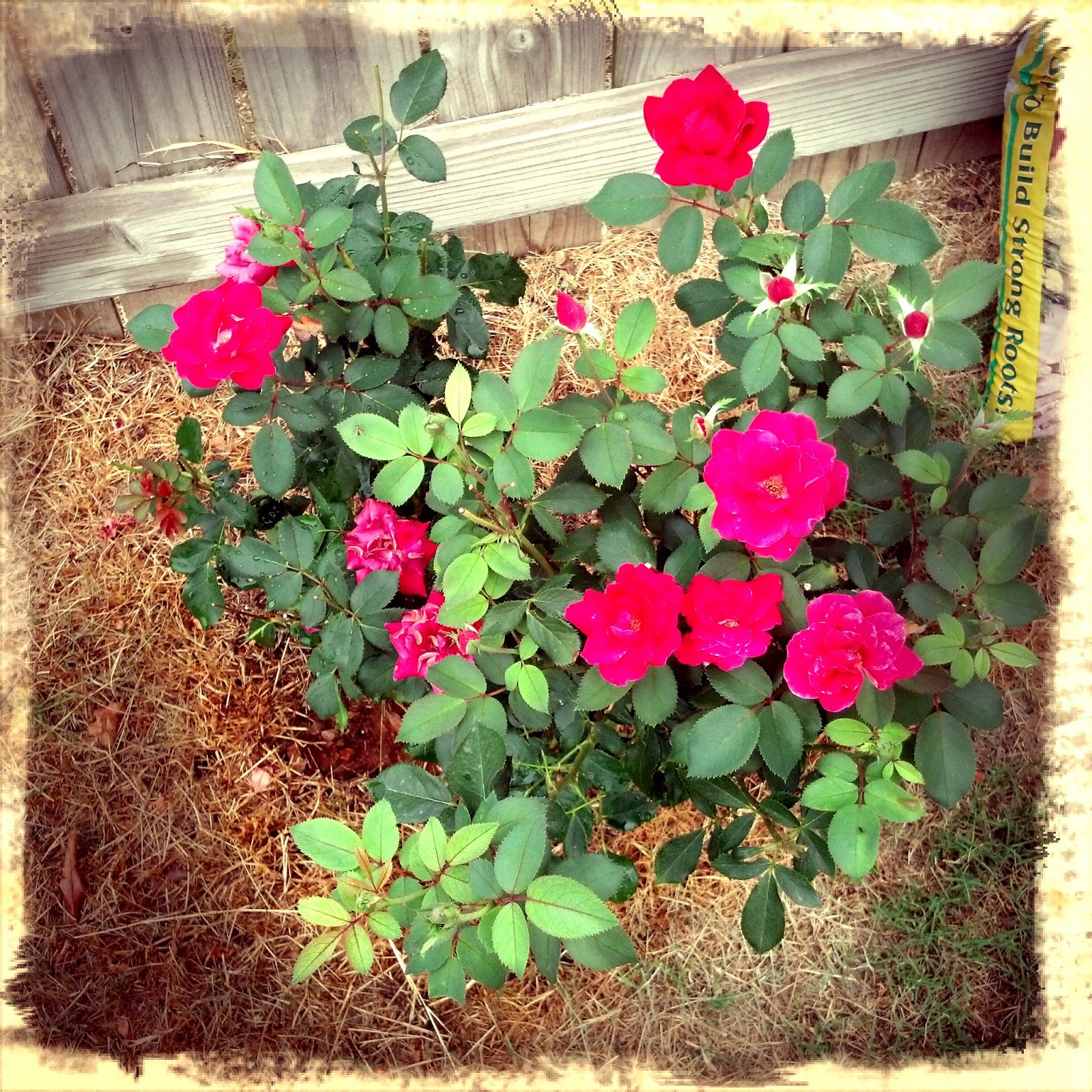 Always Crazy Blessed: Come on baby, light my fire...