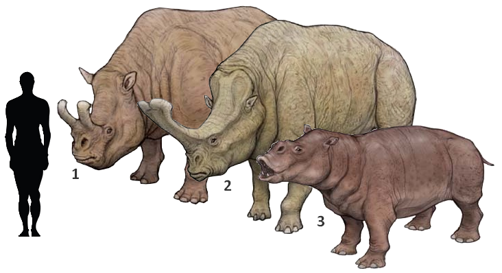 d4 Caltrops: OSE Encounter Activities - Titanothere