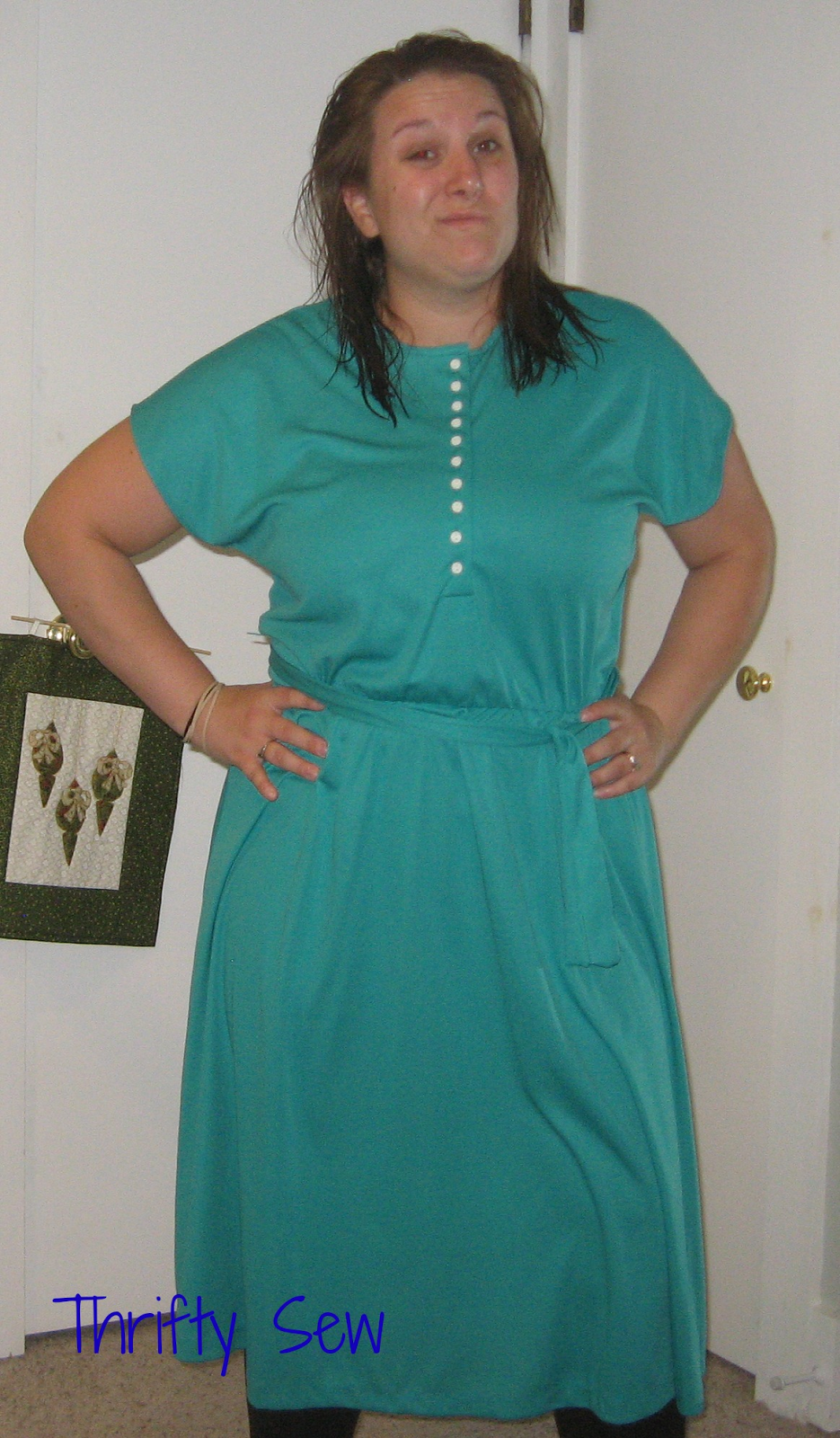 Thrifty Sew: Happy Blog-Day!!