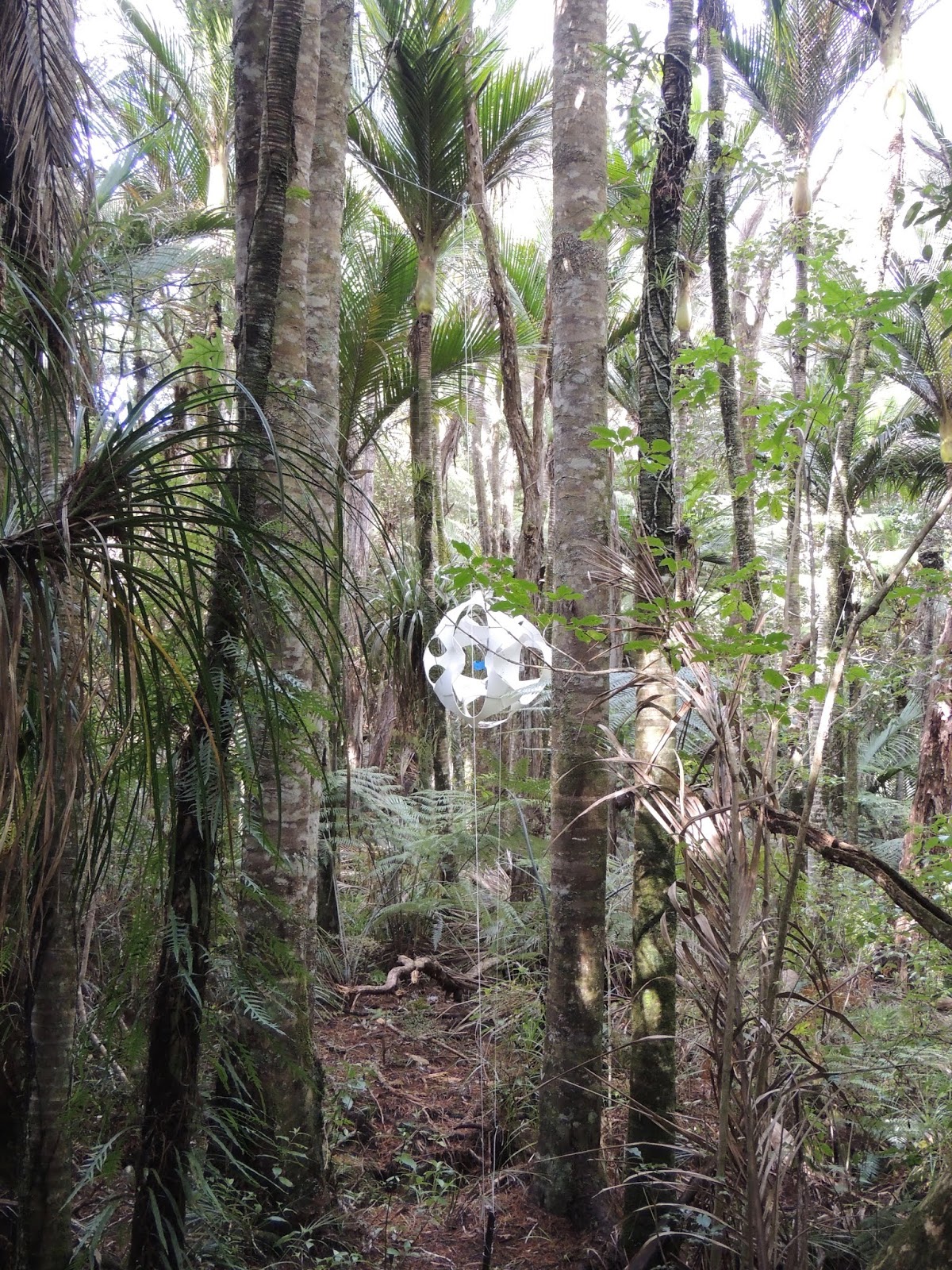 THE ROAD TAKEN : Brick Bay Sculpture Trail