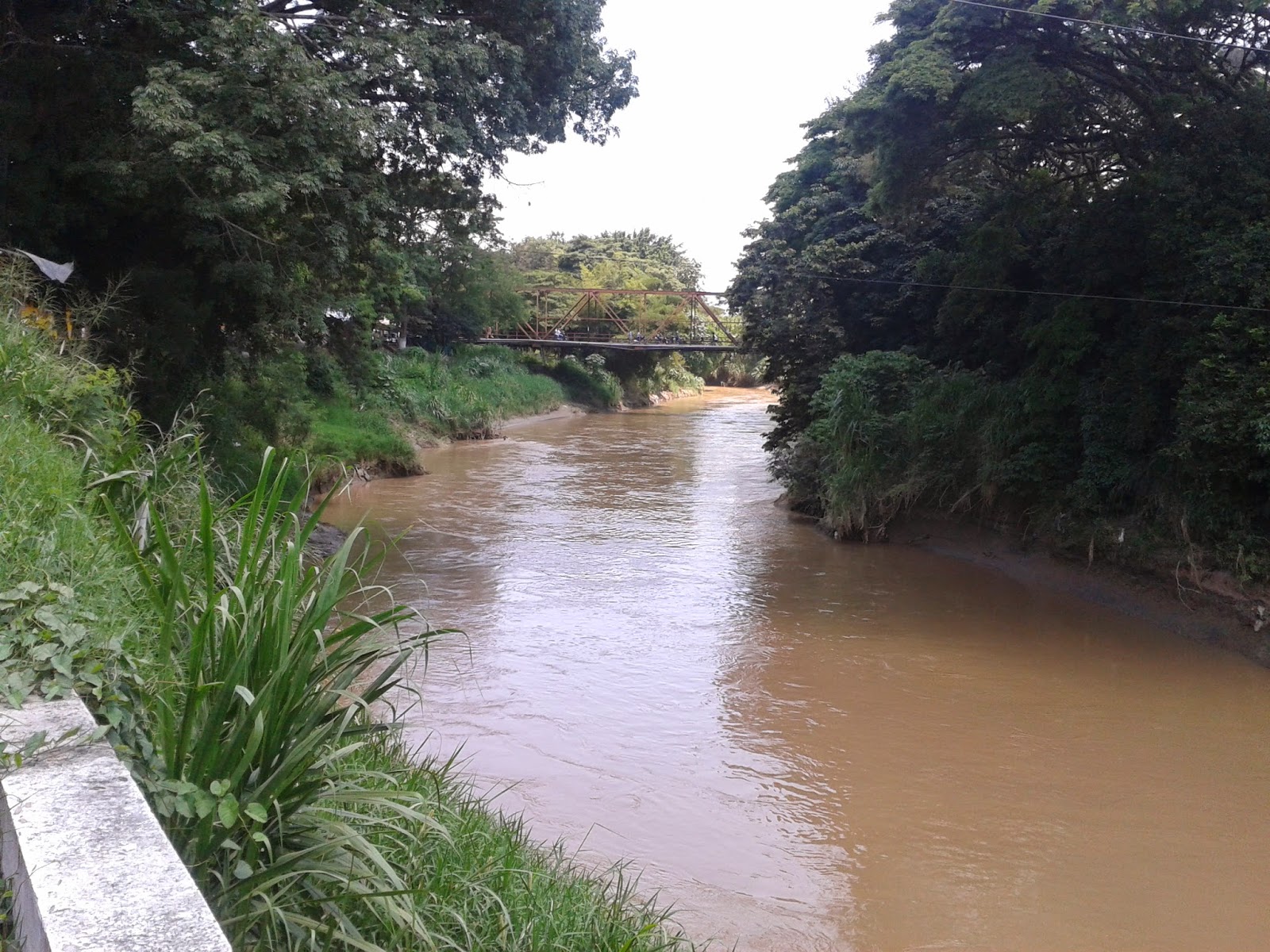 ecosistema de rio palo: RIO PALO