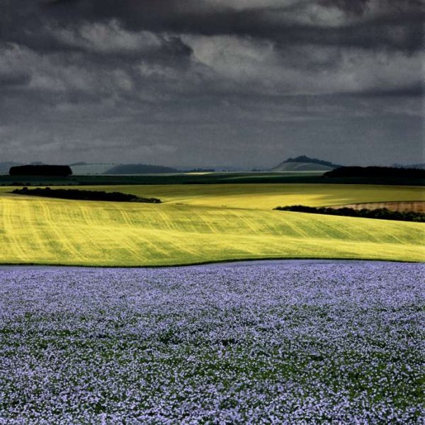 Los Grandes Fotografos: Charlie Waite (1949)