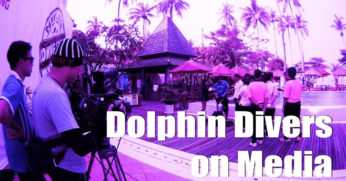 Dolphin Divers on Media