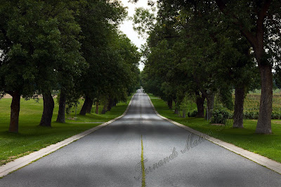 Fernando Matias Photography - Ottawa Ontario - Ottawa Wedding ...