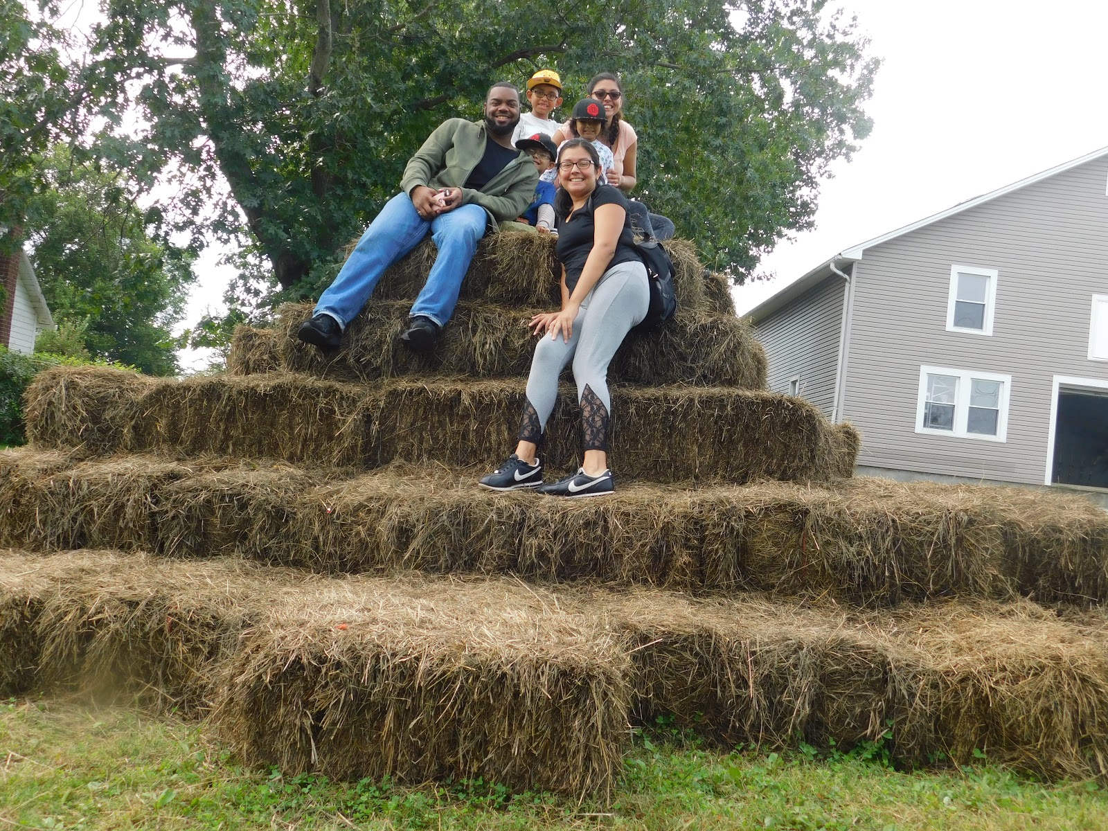 RebelMom618: Apple Picking at Wilkens Fruit & Fir Farm