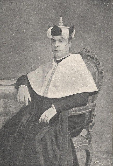 WOUNDED BIRD: "AND WHY NOT...?"