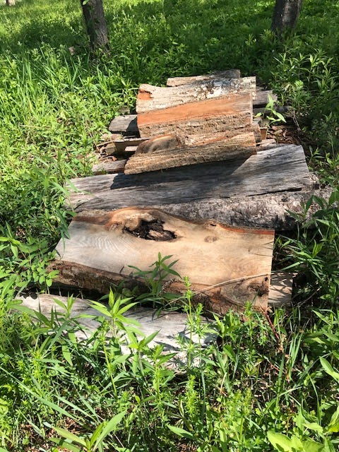 Wildlife Monitor: Snake Cover Boards