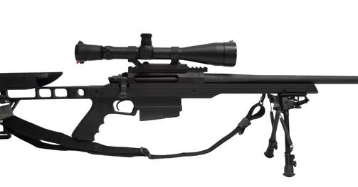 Gun News Blog: New updated Armalite rifles