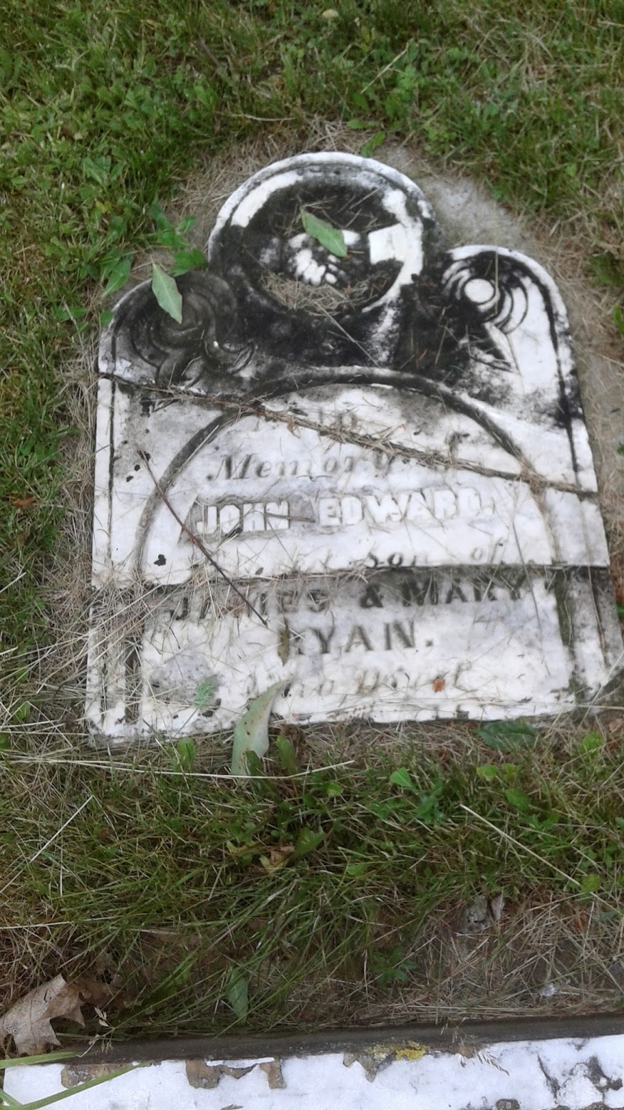 Etched in Stone-Cemeteries of Northumberland County and Surrounding ...