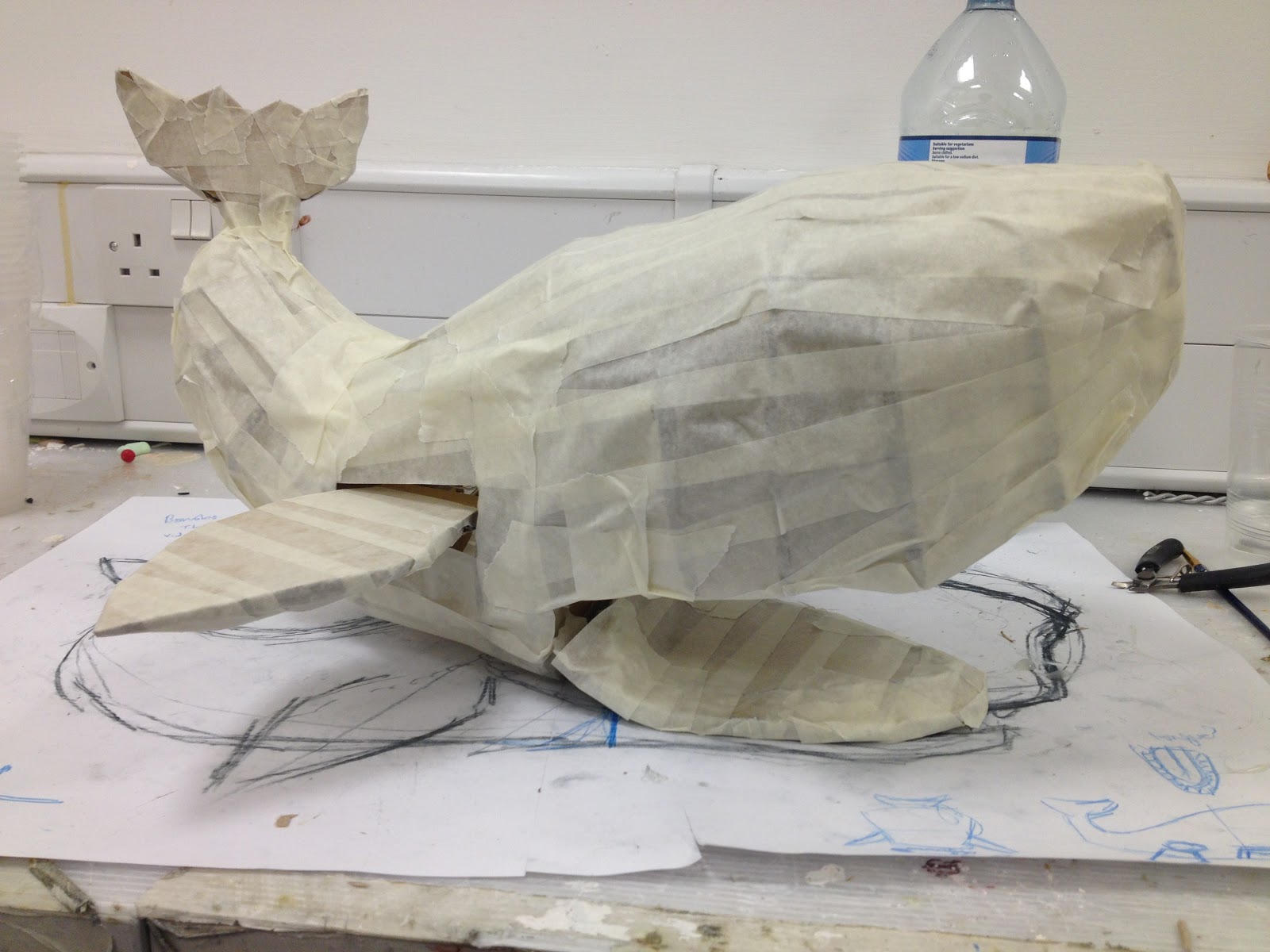 James Carlisle: I've been having a WHALE of a time