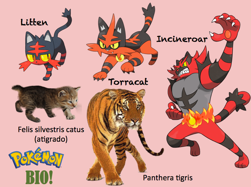 LA CIENCIA DE LA VIDA: La base biológica de los Pokémon tipo Fuego