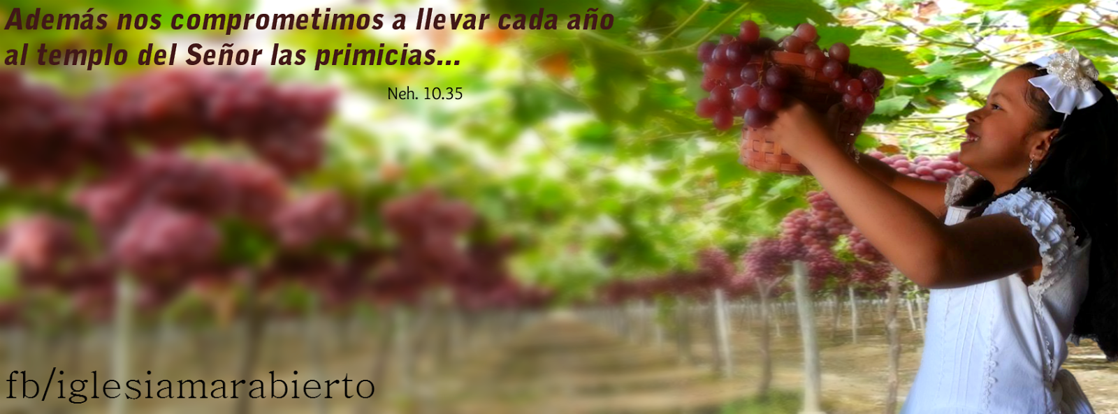 Imagenes de primicias - Mar de Vida Abundante