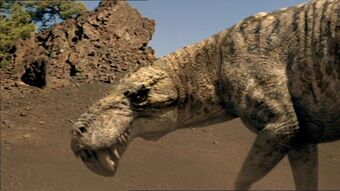 Blogorgonopsid: Tharosaurus indicus - první kdy popsaný dicraeosaurid z ...