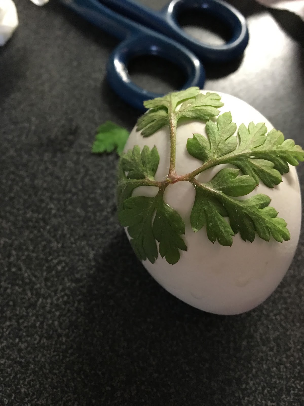 U Jadrankinom malom svetu: Uskrsnje dekoracije / Påsk decoration