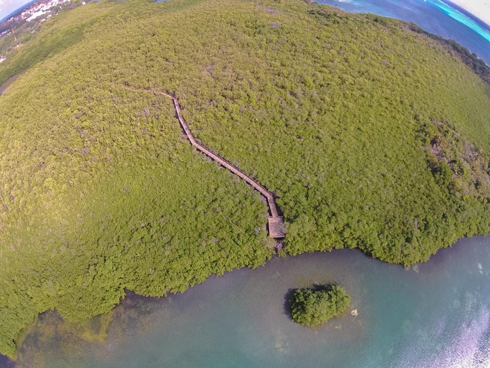 Parque regional old point