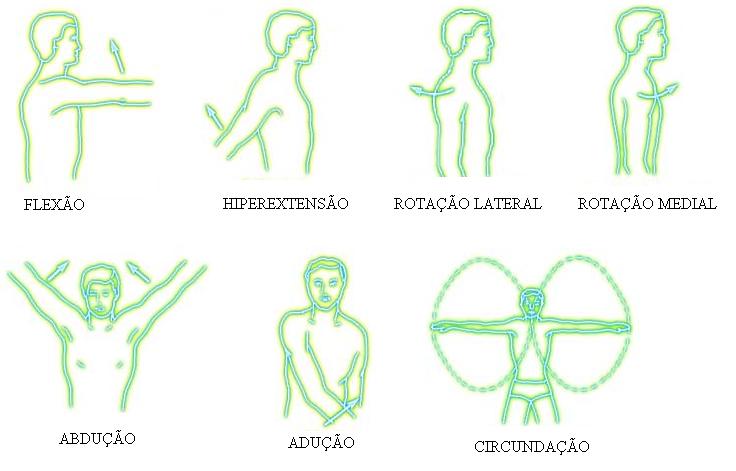 Cinesiologia em Fisioterapia: CONCEITOS BÁSICOS