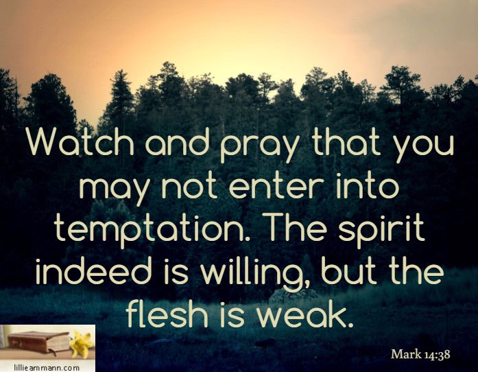 Thoughts from Another Home ©: The Person Who Prays - Alert and Watchful ...