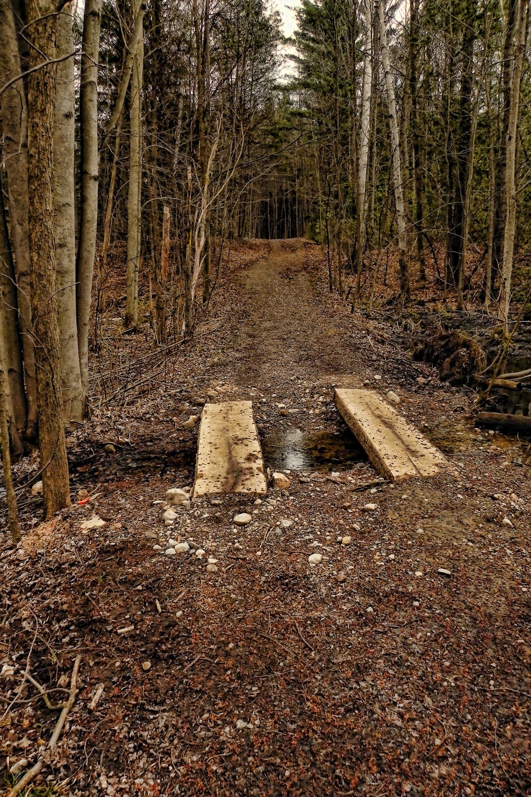 Hiking in Ontario: Conley Tract - Halton Regional Forest